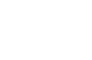 Pinion Carriers - NETFORM
