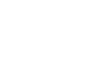 Splined Hubs - NETFORM